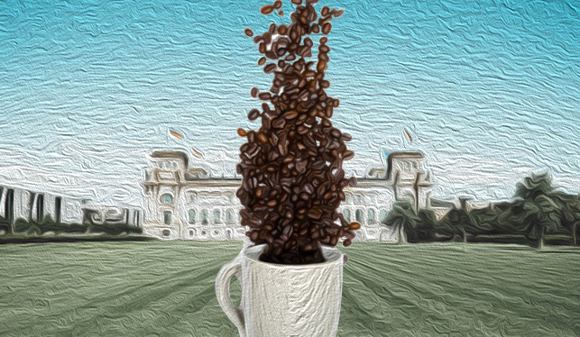 German Coffees ≫ Exclusive taste that will surprise you!